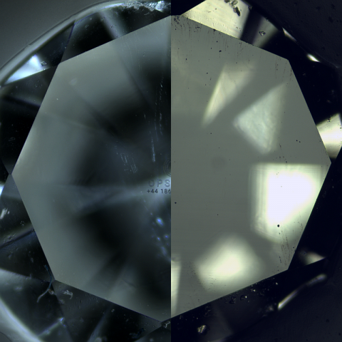 Latest News and Press Releases | Opsydia